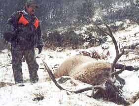 Colorado Elk, Mule Deer, Bear Hunting ~ Arapaho Wilderness Outfitters